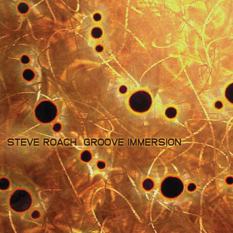 Groove Immersion | Steve Roach